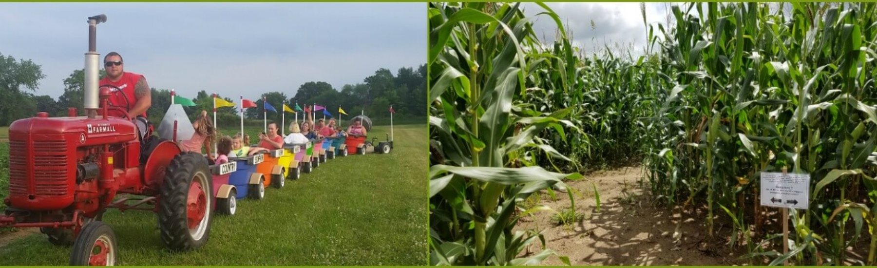 Fall Fun! - Country Bumpkin Farm Market