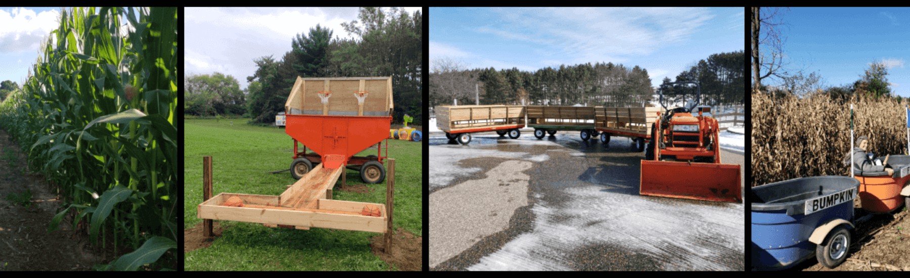 Fall Fun! - Country Bumpkin Farm Market